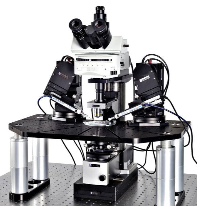 Оптический микроскоп - Scientifica SliceScope Pro 2000 - Scientifica ...