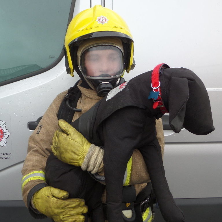 Учебный манекен для неотложной медицинской помощи - RLDOG series - Ruth ...