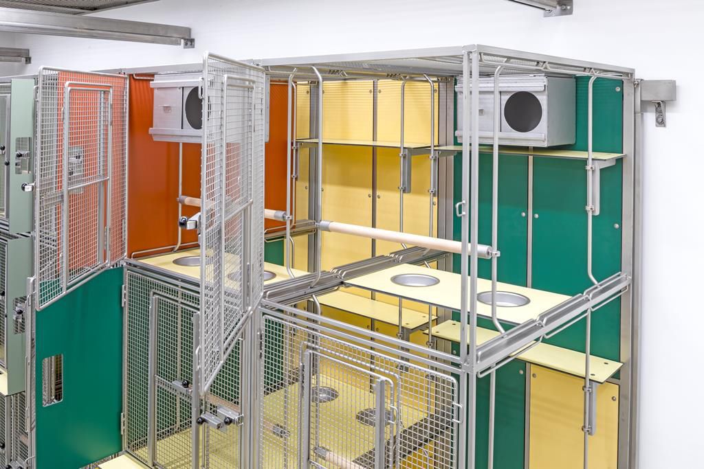Загон для животных для приматов - Marmosets - Zoonlab GmbH