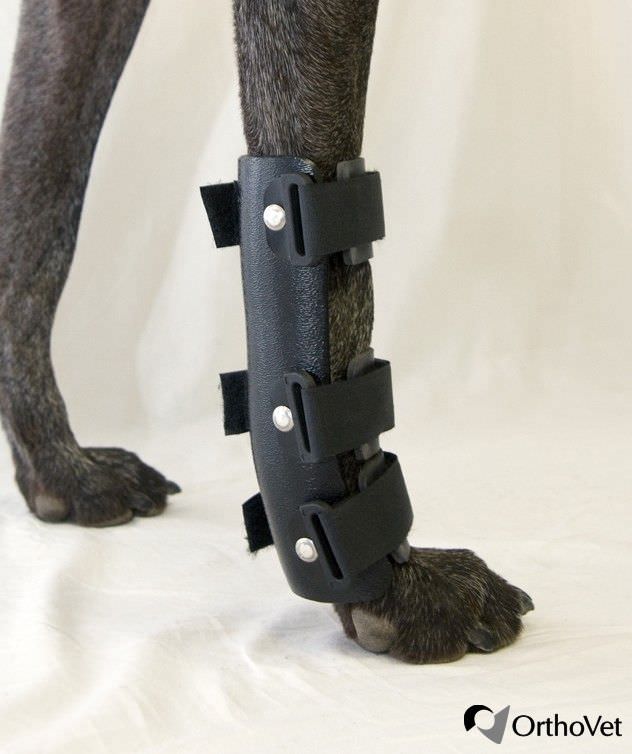 Ветеринарная шина для запястного канала - OrthoVet - для собак