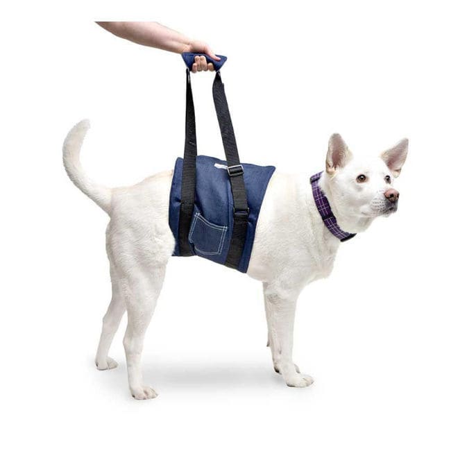 Привязь для передвижения - Walkin’ Support - Walkin' Pets - для ...