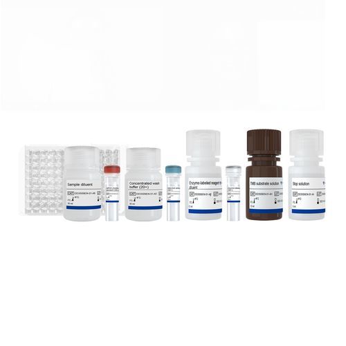 Набор реактивов в растворе - EasyAna - Vazyme Medical Co.,Ltd - для ...