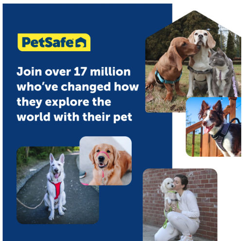 Petsafe gentle leader store